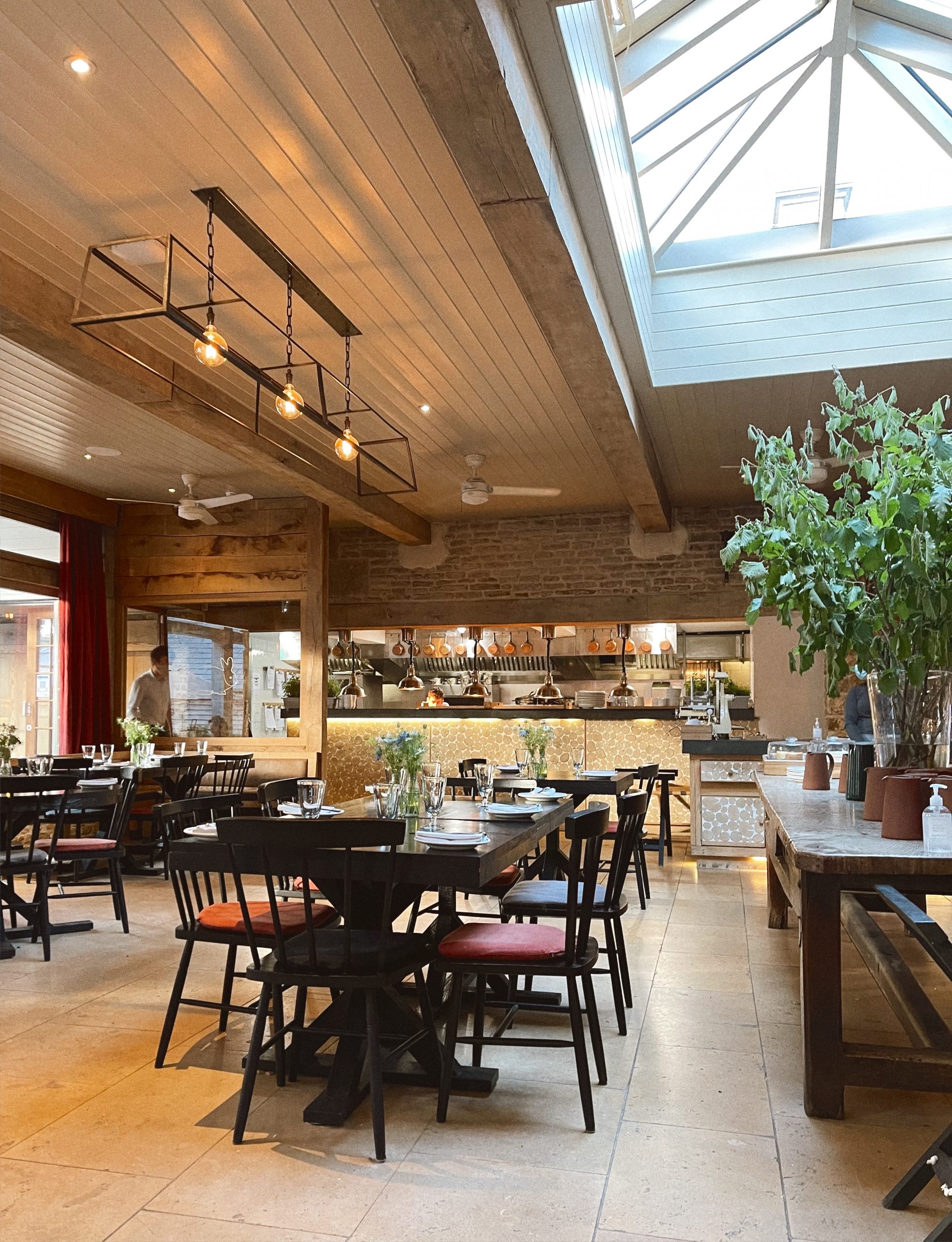 A Weekend At The Wild Rabbit - Oh Yes She Did